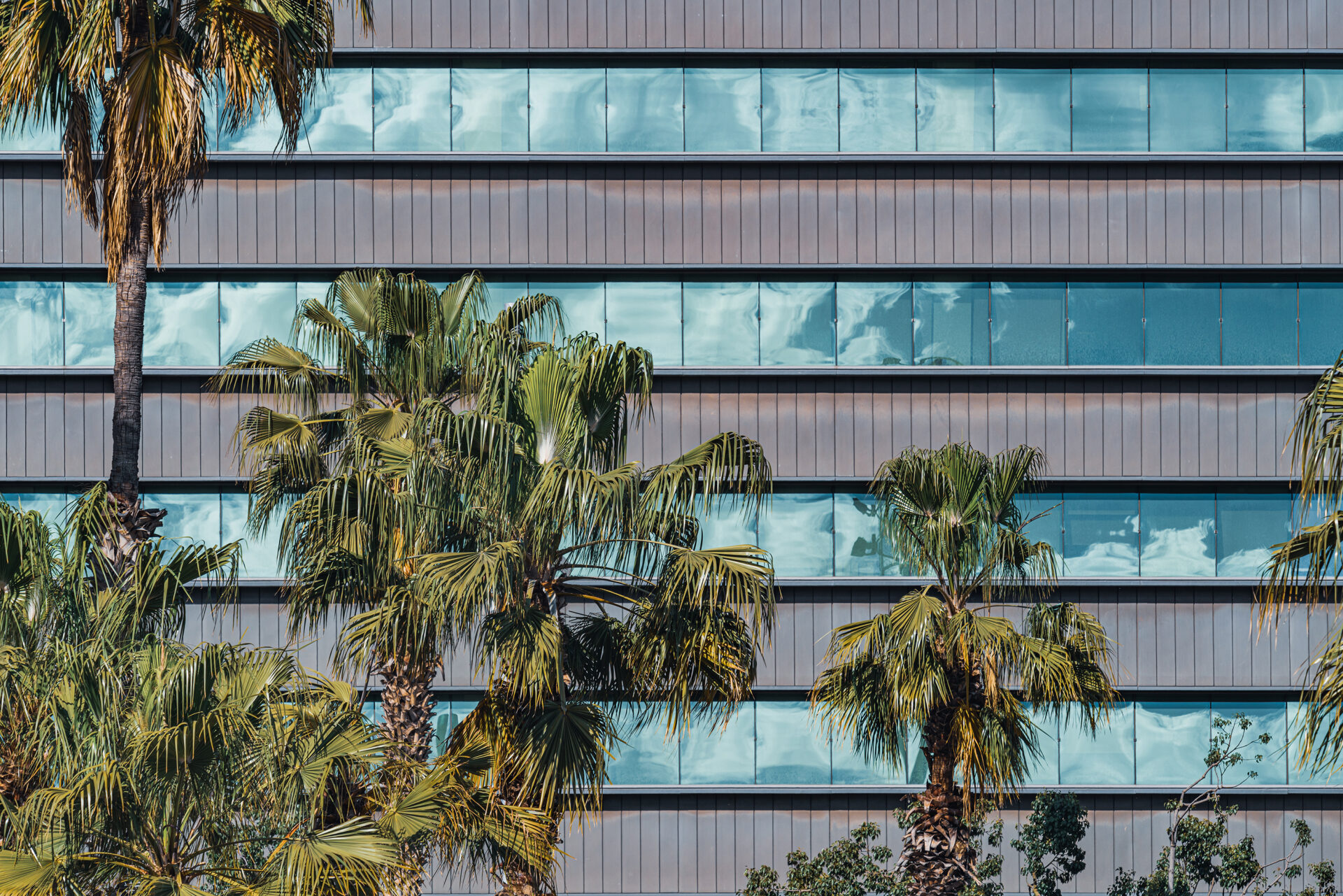 NAI Realvest - Orlando, Florida - Commercial Real Estate Services